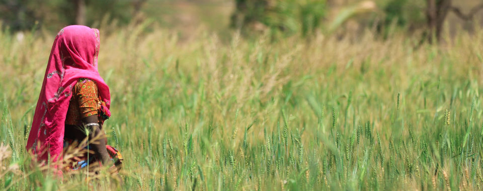 Human Ecology | Oxford Biological Anthropology